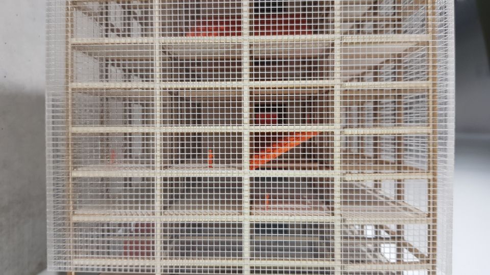 Cubate - Architekturobjekte - heinze.de