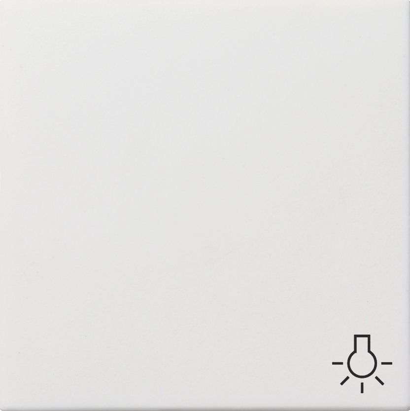 Gira Flächenschalter Wippe mit Symbol Licht | Gira - heinze.de